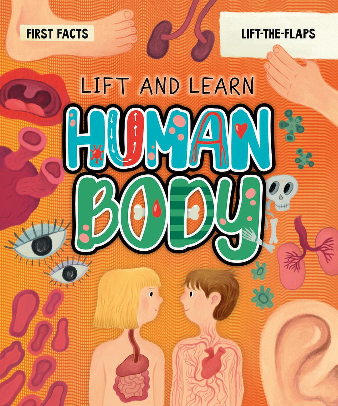 Lift & Learn: My First Lift-the-Flap: Human Body (Board book) - Walmart.com