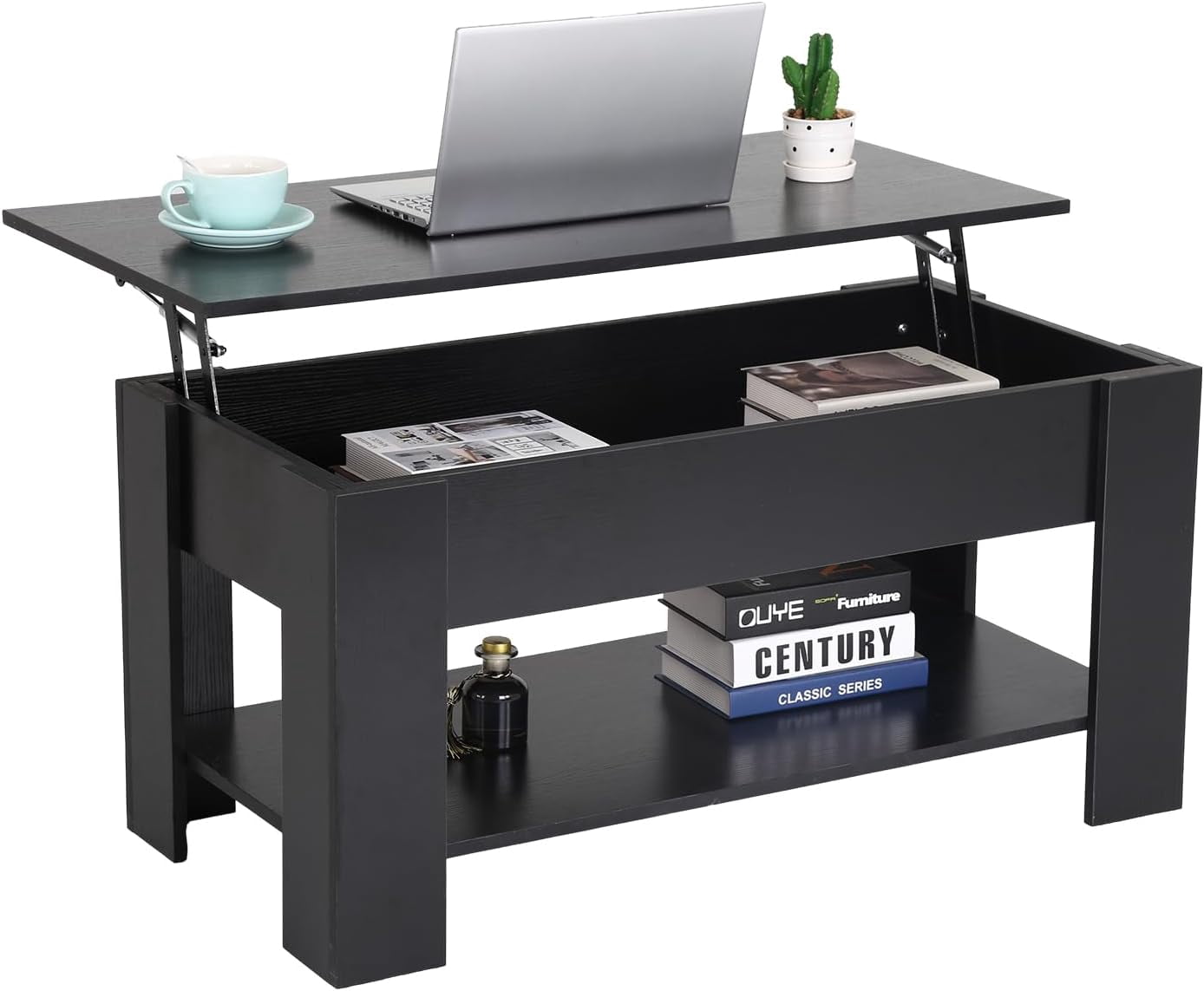 Lift Top Coffee Table with Storage Shelf and Hidden Compartment, Modern ...