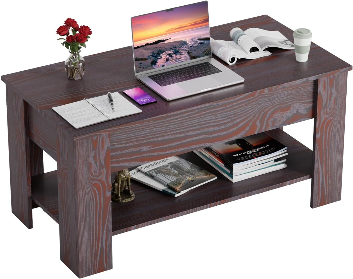Lift Top Coffee Table with Storage Shelf and Hidden Compartment,Modern ...