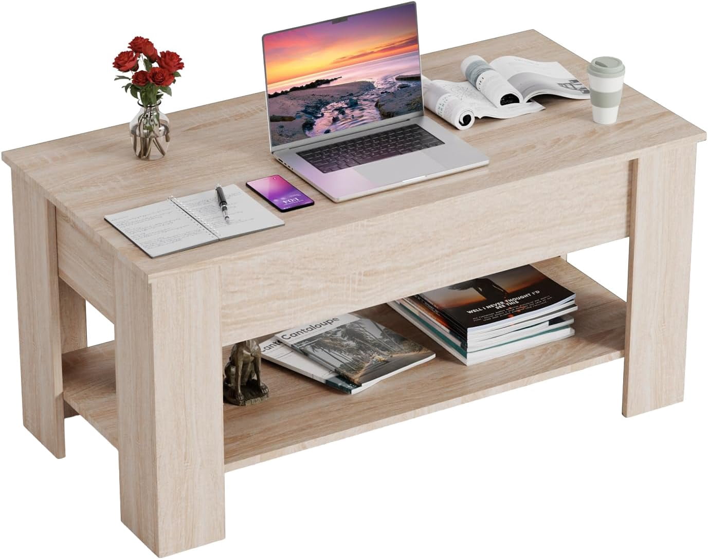 Lift Top Coffee Table with Storage Shelf and Hidden Compartment ...