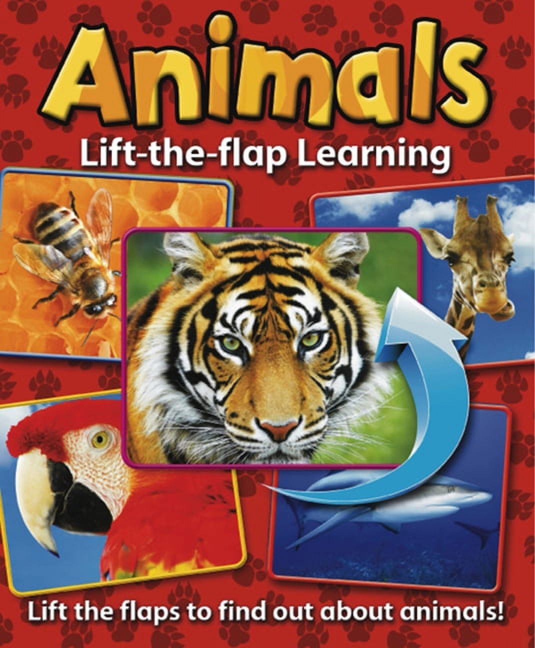 Lift-the-Flap Learning: Animals : Lift the Flaps to Find Out About ...