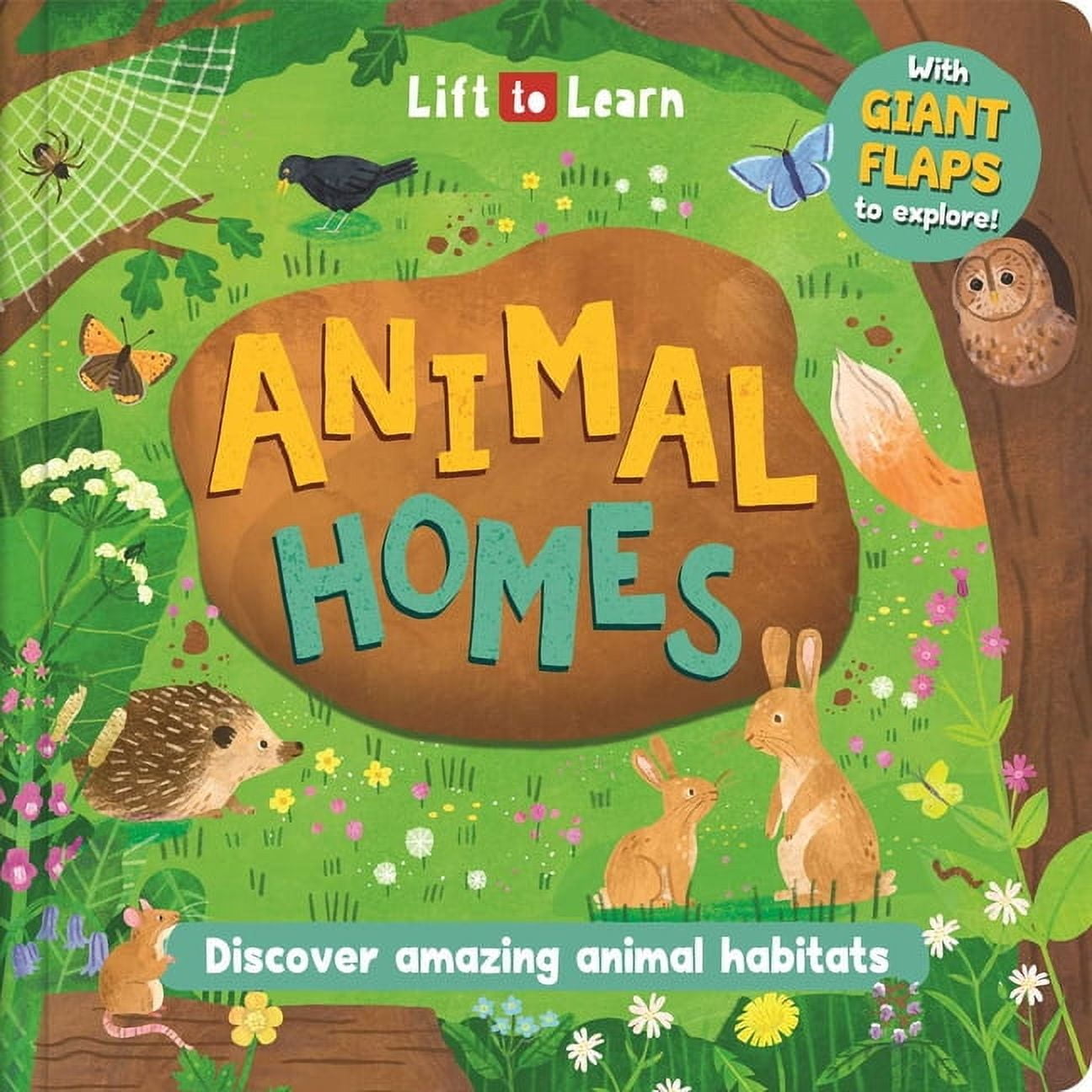 Lift to Learn: Animal Homes: With Giant Flaps to Discover Amazing ...