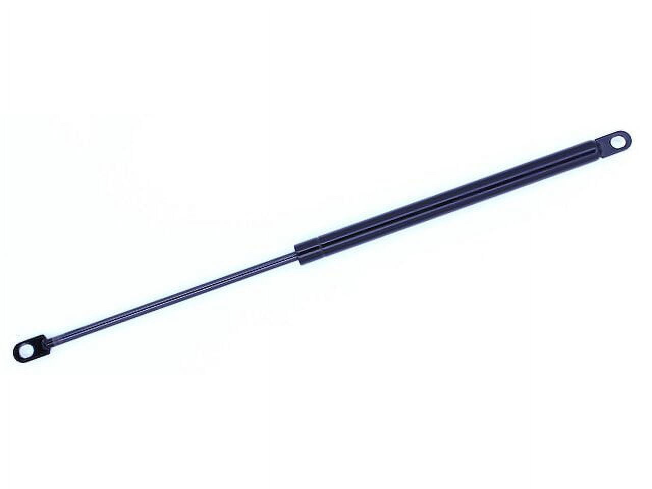 Liftgate Lift Support - Compatible with 1975 - 1984 Volkswagen Rabbit ...