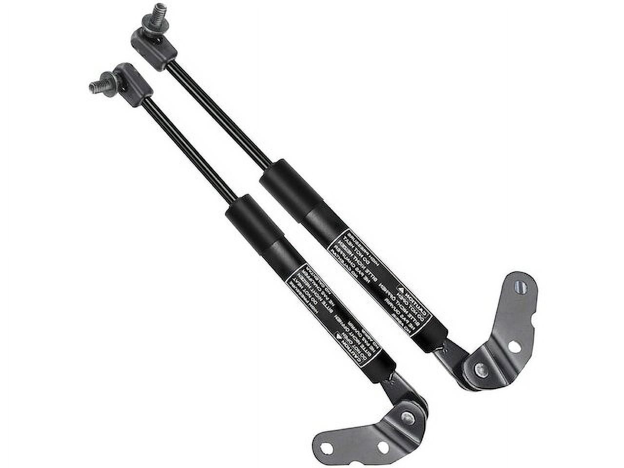 Liftgate Lift Support - Compatible with 2000 - 2005 Toyota Celica ...