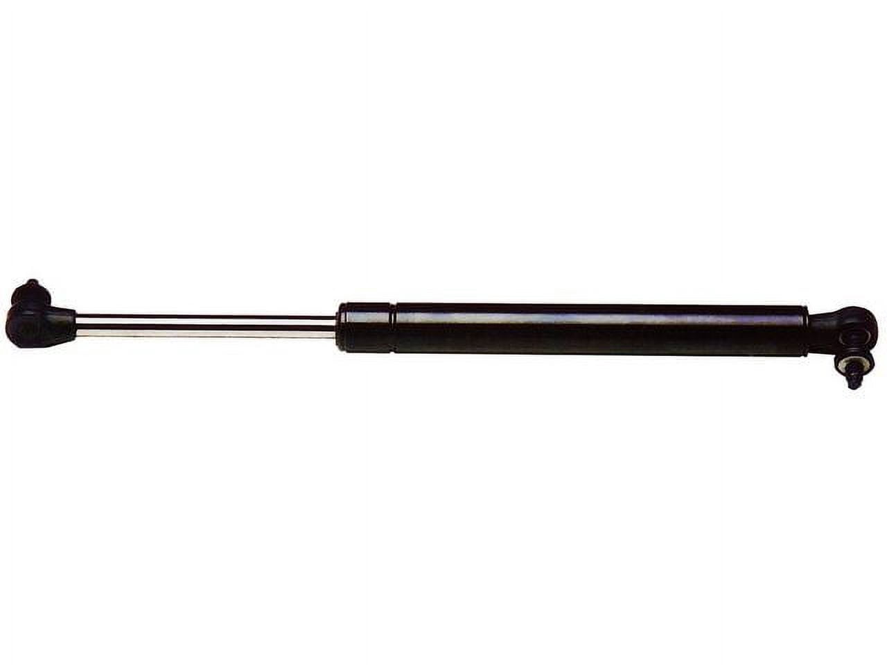 Liftgate Lift Support - Compatible with 2001 - 2007 Dodge Caravan 2002 ...