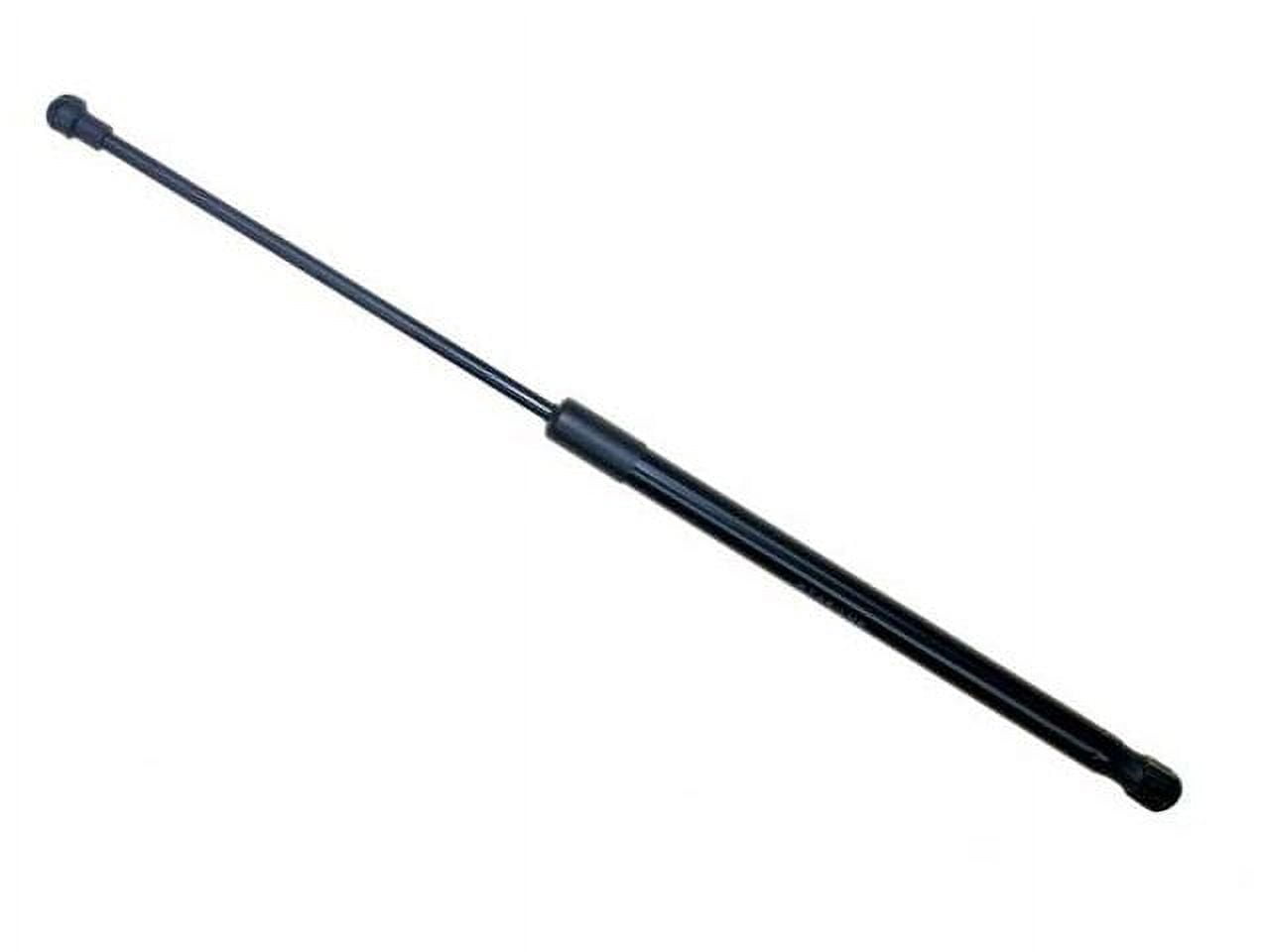 Liftgate Lift Support - Compatible with 2002 - 2004 Mercedes-Benz C320 ...