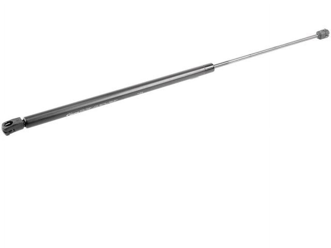 Liftgate Lift Support - Compatible with 2002 - 2007 Mercedes-Benz ML500 ...