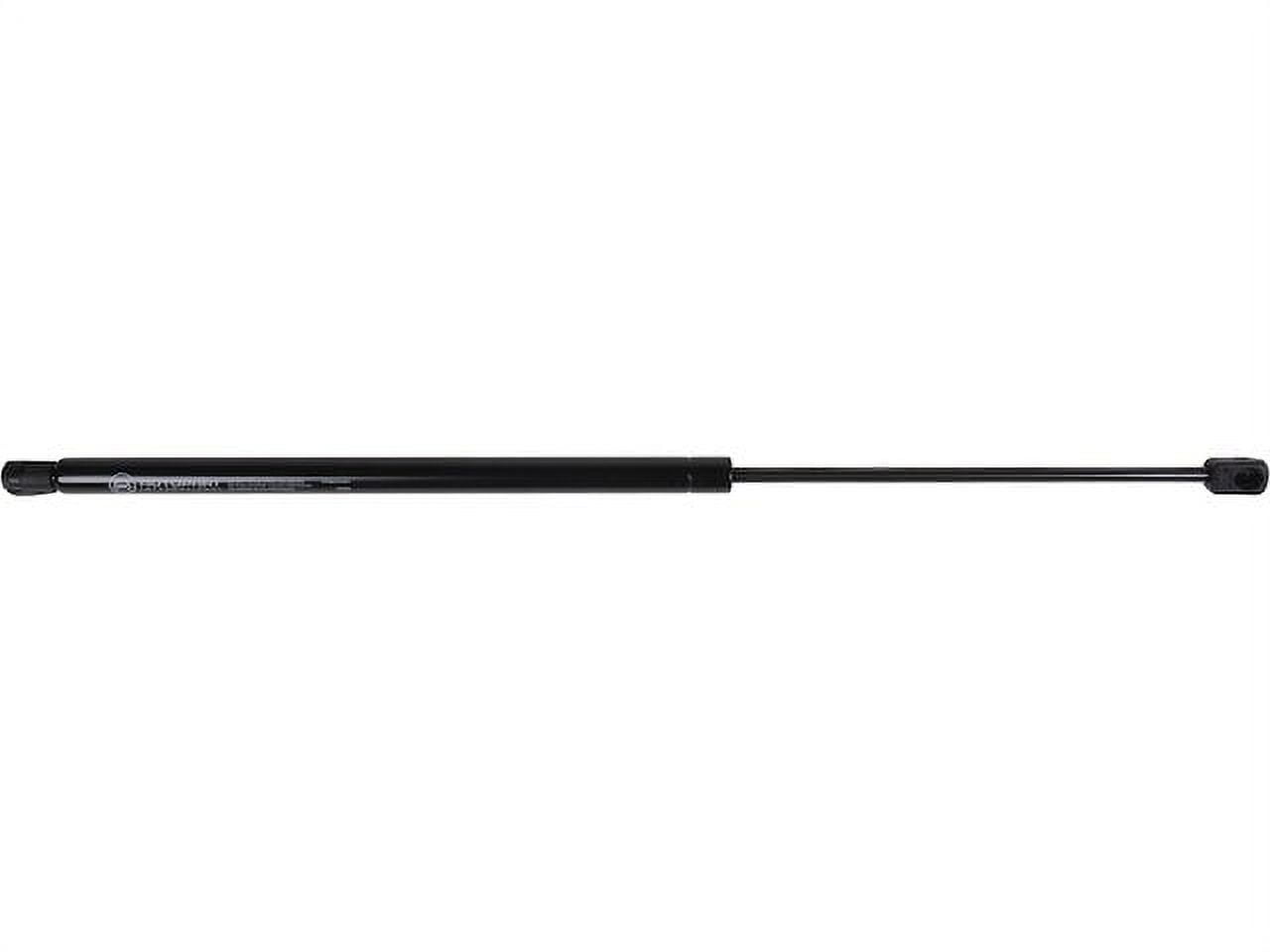 Liftgate Lift Support - Compatible with 2006 - 2011 Chevy HHR 2007 2008 ...