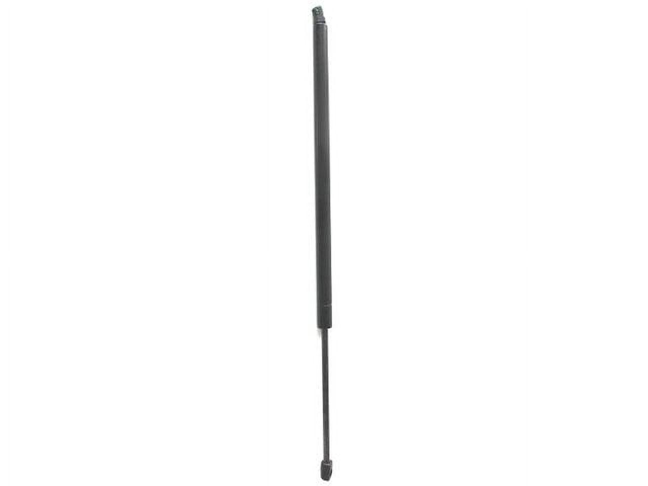 Liftgate Lift Support - Compatible with 2008 - 2017 Dodge Grand Caravan ...