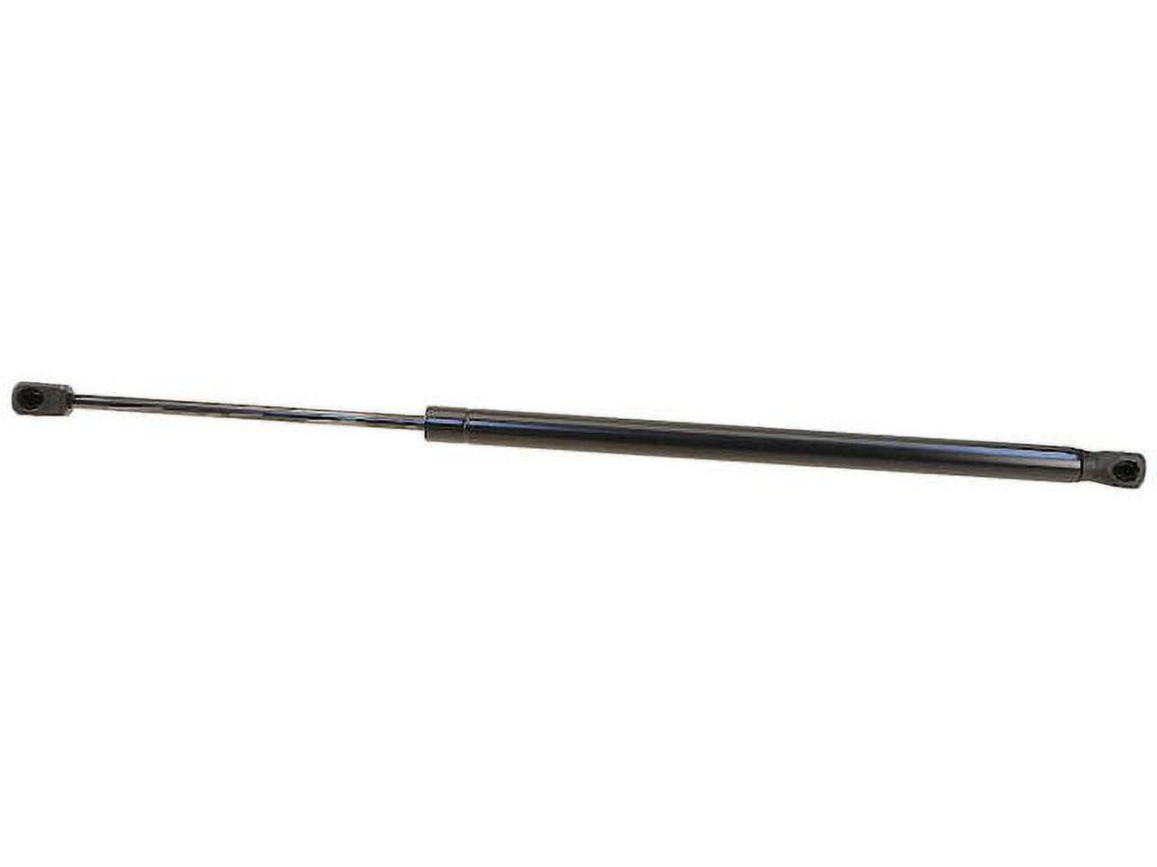 Liftgate Lift Support - Compatible with 2010 - 2017 Jeep Compass 4-Door ...