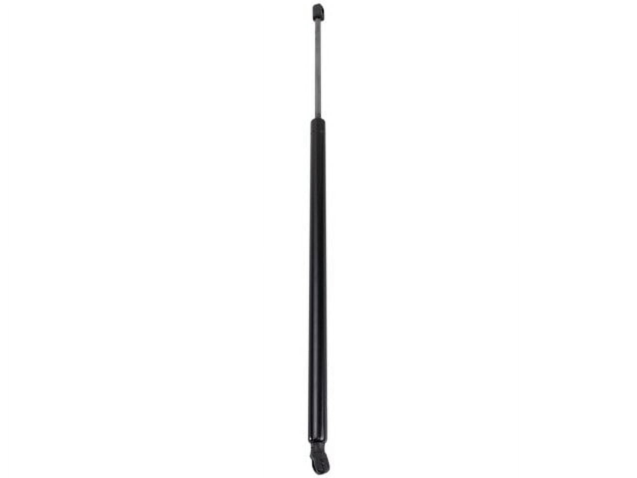 Liftgate Lift Support - Compatible with 2011 - 2020 Dodge Grand Caravan ...
