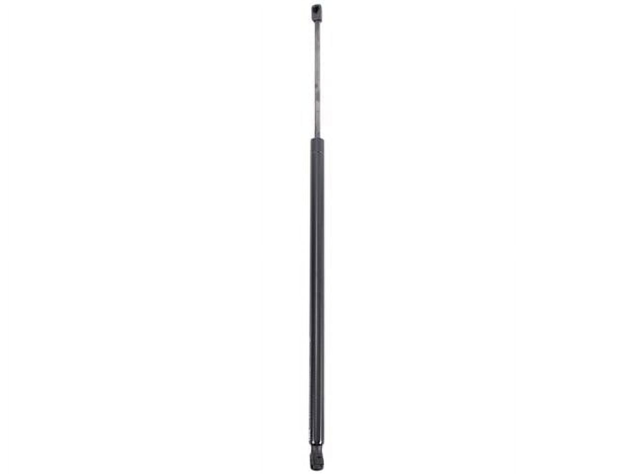 Liftgate Lift Support - Compatible with 2011 - 2020 Dodge Grand Caravan ...