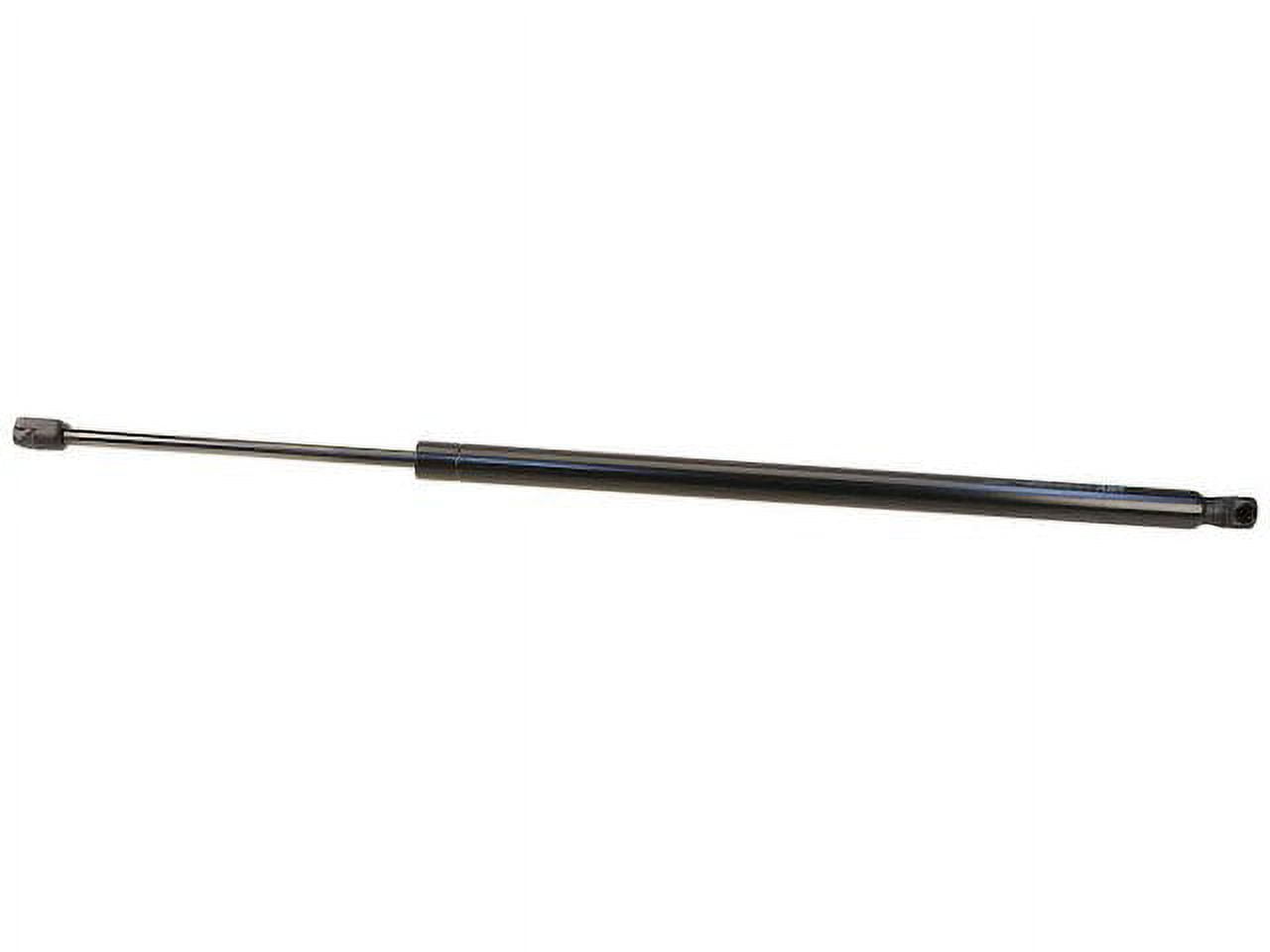 Liftgate Lift Support - Compatible with 2011 - 2020 Dodge Grand Caravan ...