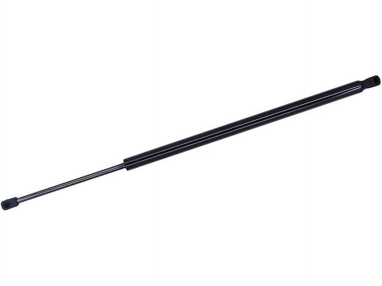 Liftgate Lift Support - Compatible with 2011 - 2020 Dodge Grand Caravan ...