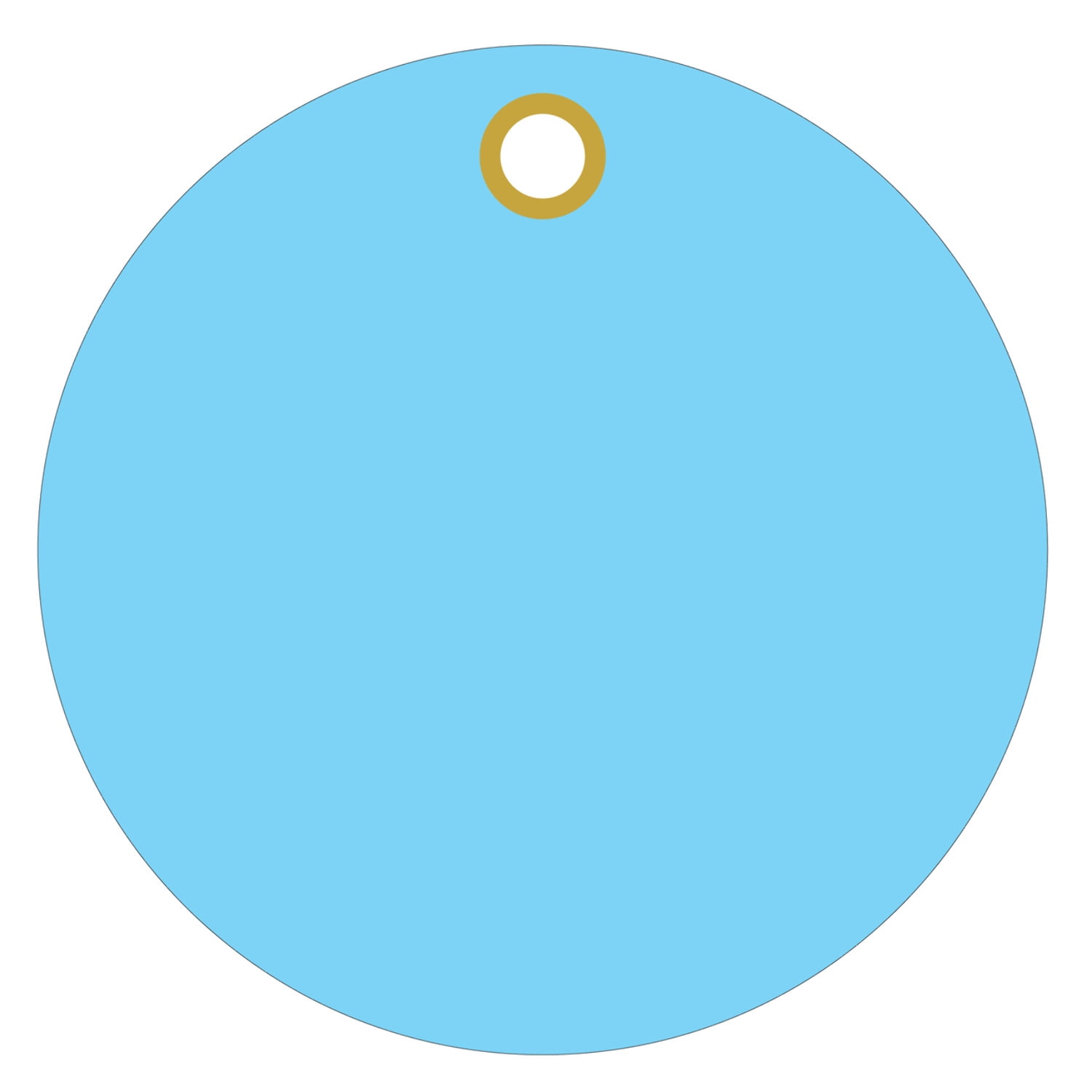 Light Blue Plastic 3 inch Circle Tags metal eyelet 100/order (15pt ...