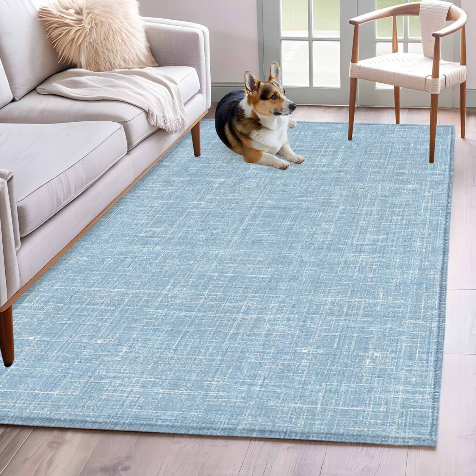 Light Blue Washable Area Rug 3x5 Abstract Modern Farmhouse Solid Color ...