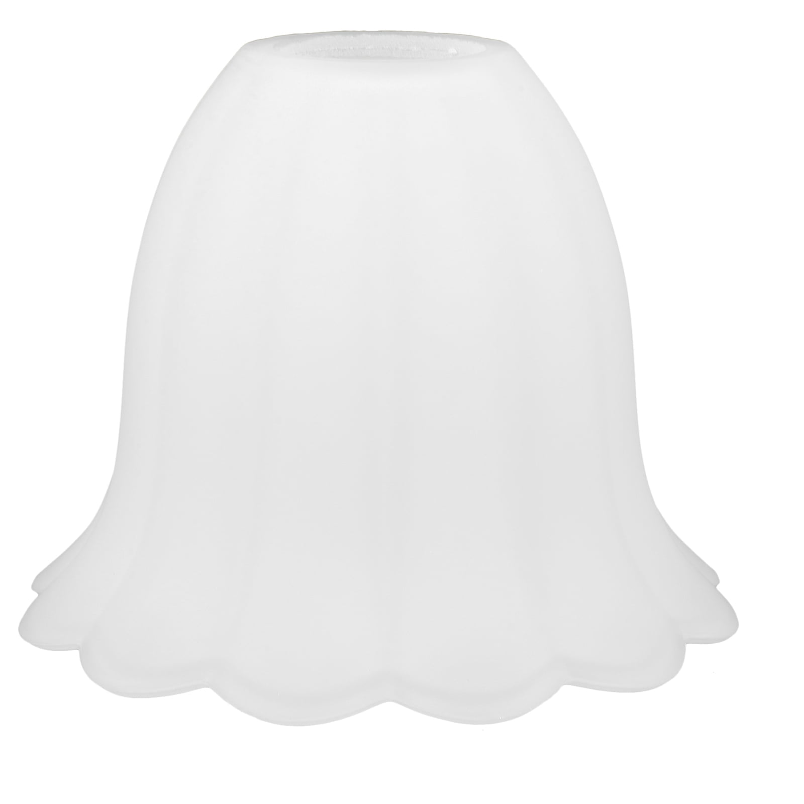 Light Bulb Cover Glass Lamp Guard Flower Shape Light Bulb Cage Pendant ...