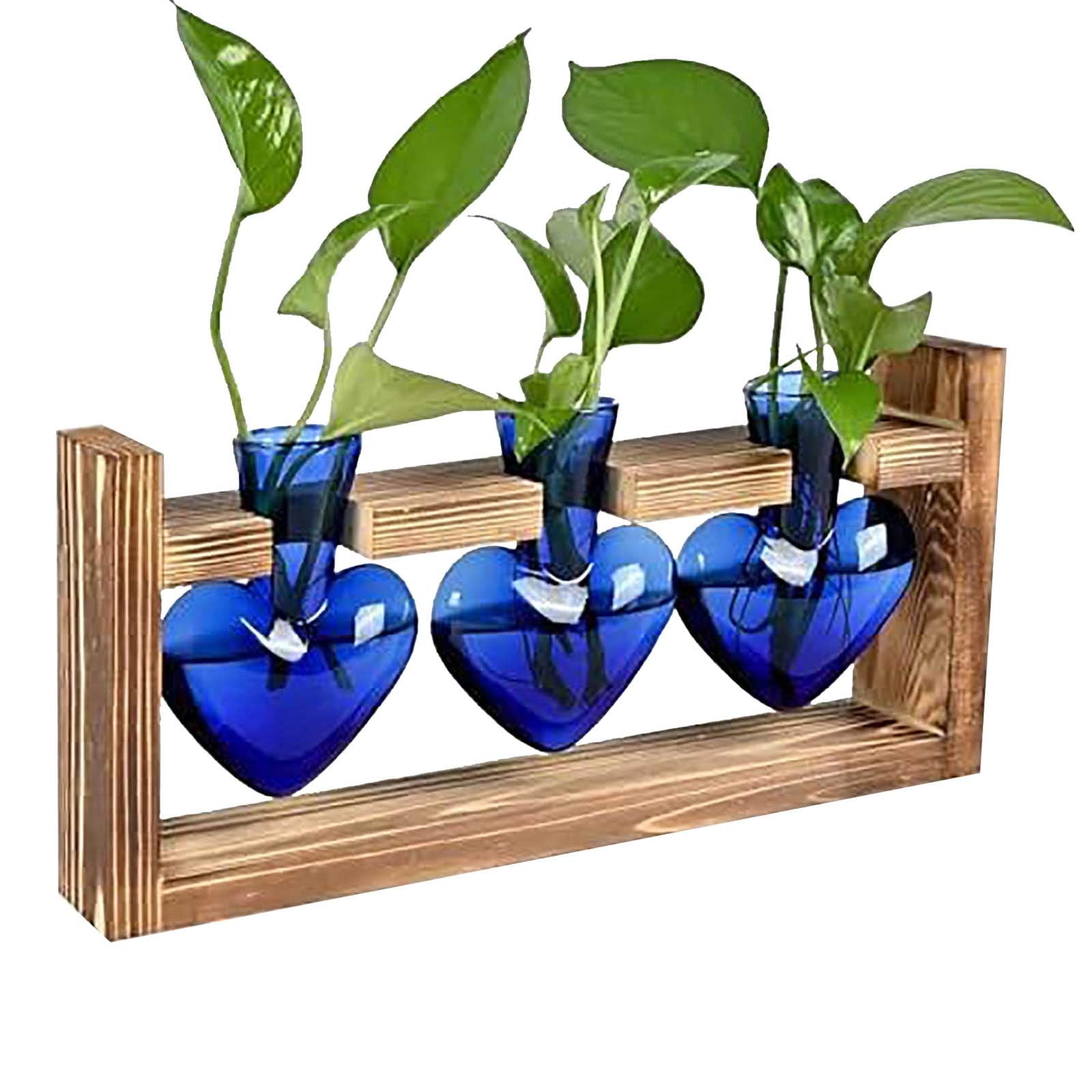 Light Bulb Vase | Novel Design | Multipurpose Use for Flowers & Storage ...