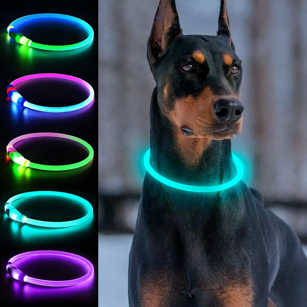 Light Up Dog Collars, DMF15 Single-Color USB Rechargeable Dlitk LED Dog Collar 1 Count, TPU ...