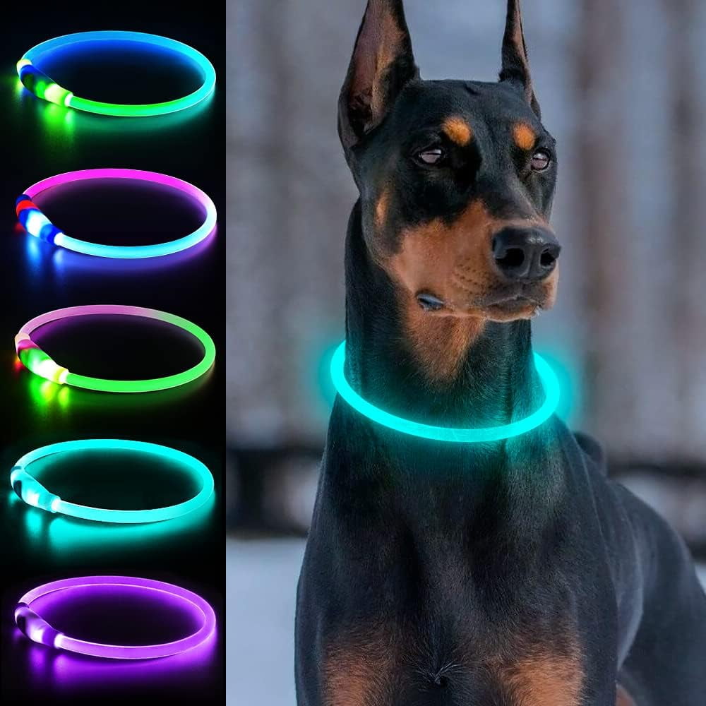 Light Up Dog Collars, Single-Color USB Rechargeable LED Dog Collar 1 ...
