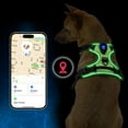 Light Up Dog Harness - No Pull Adjustable LED Bluetooth Tracker Dog ...