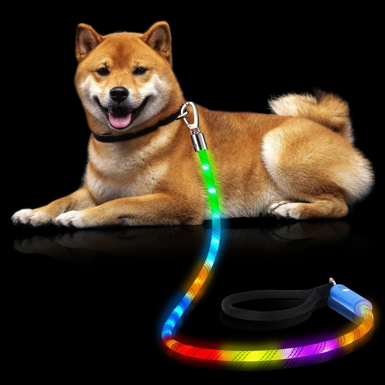 Light Up Dog Leash, LED Pet Leash for Night Walking,13 Lighting Modes ...