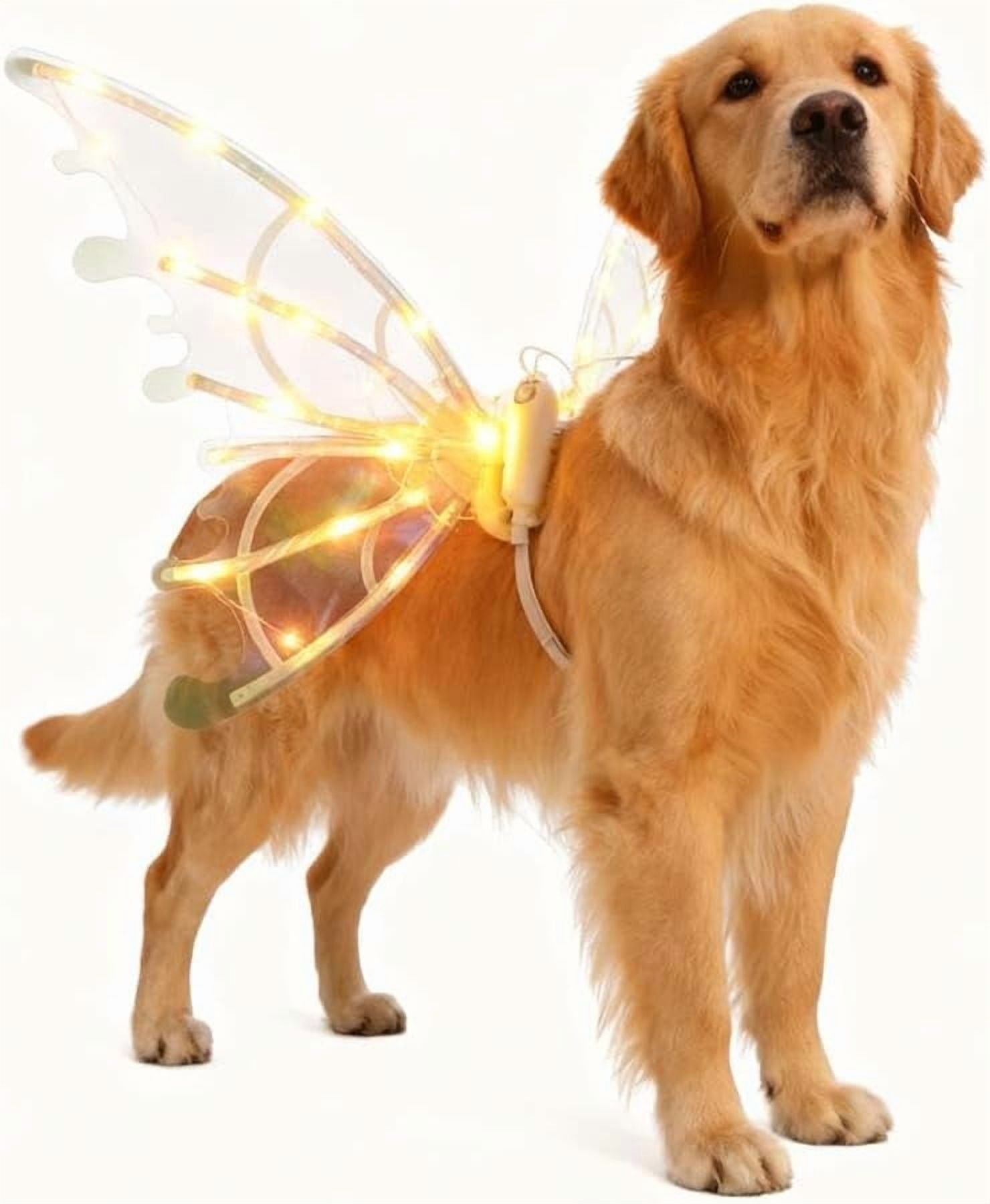 Light up Fairy Wings for Dogs, Pet Glowing Wings Costume with LED ...