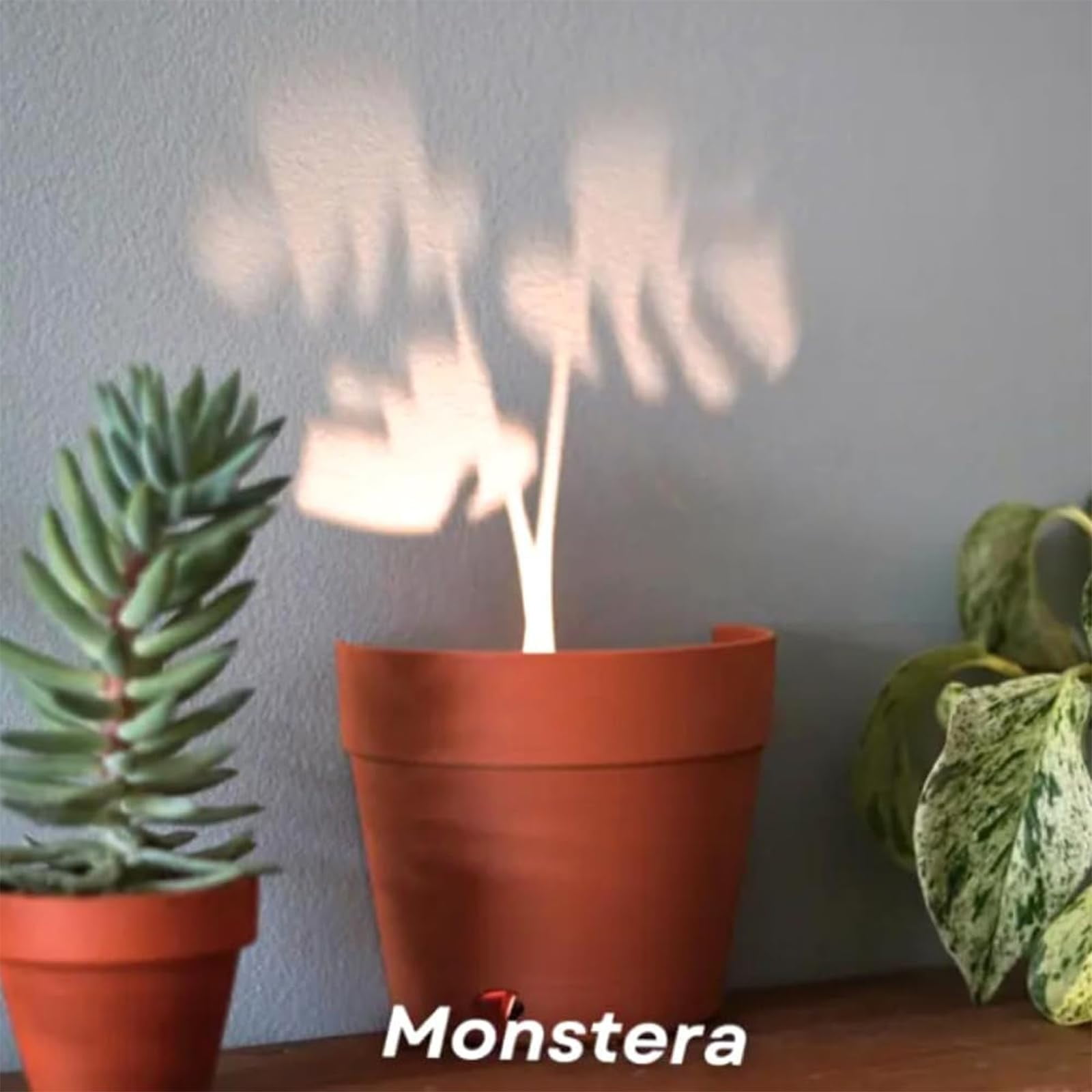 Light Projections Pot With 7 Accessories Projection Garden For People ...