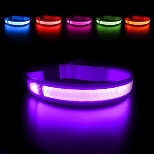 Light Up Collar, LED Rechargeable Glow Flashing Night Collar ...