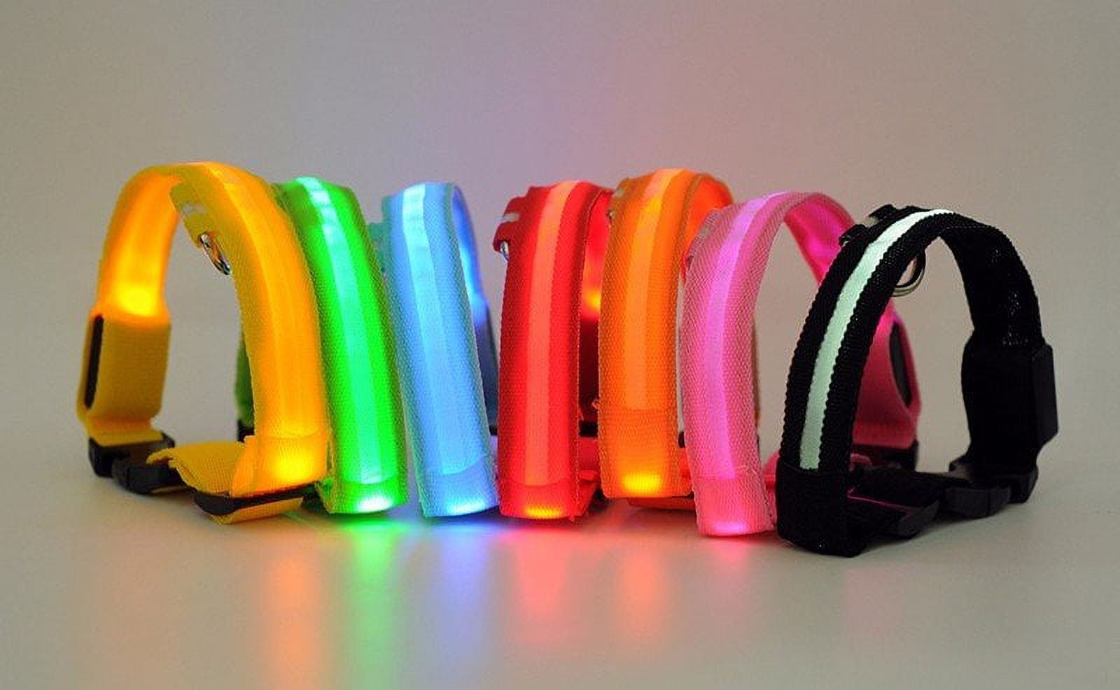 Light Up Collar, USB Rechargeable LED Dog Collar for Safety at Night ...