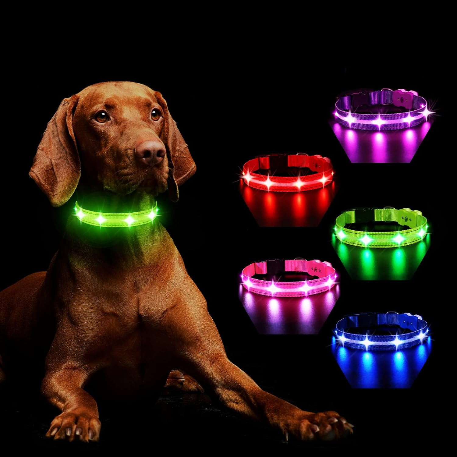 Light Up Dog Collars-Rgb Lighted Dog Collar Flashing Led Dog Collar ...