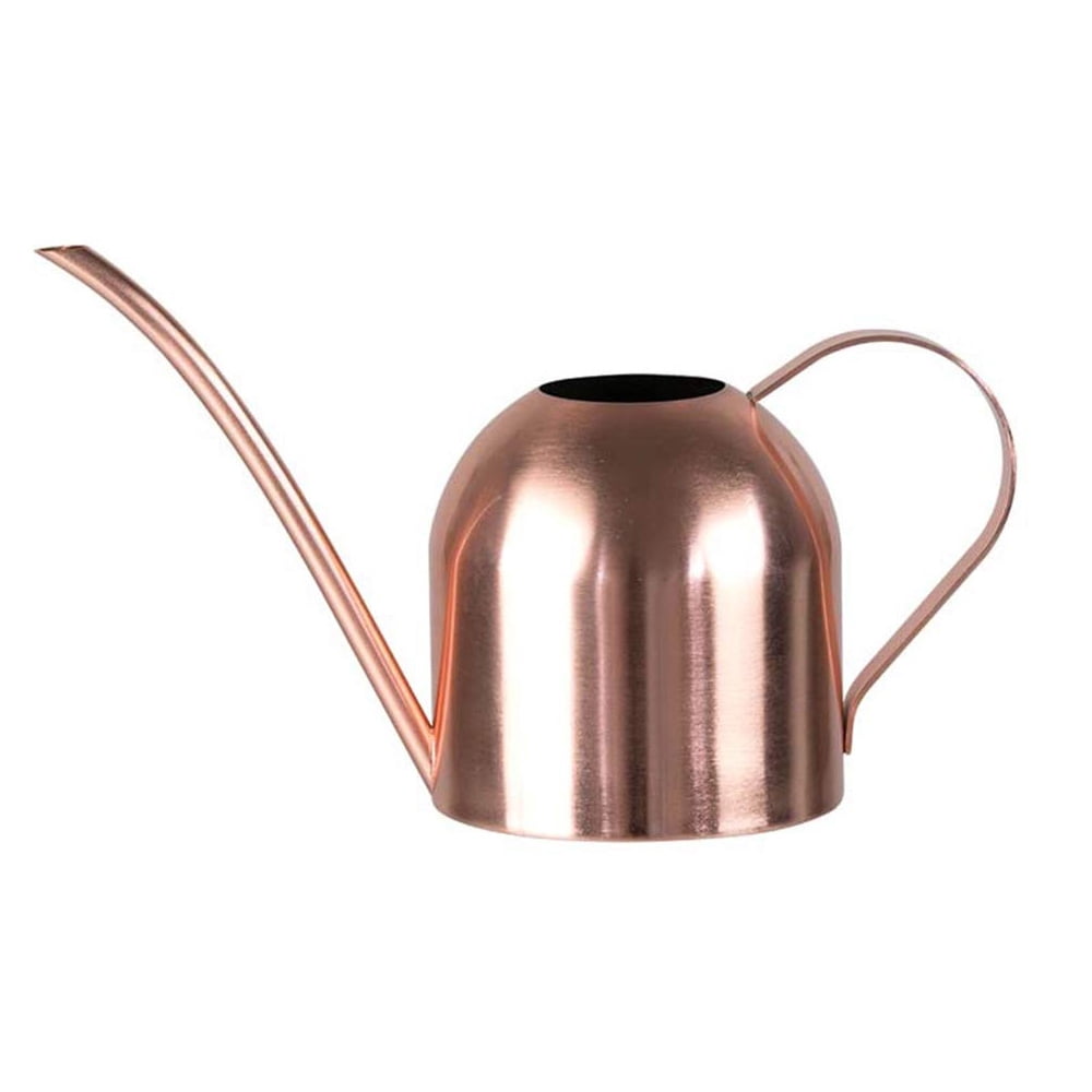 Light Weight Stainless Steel Water Can for Indoor Plants, Efficient ...