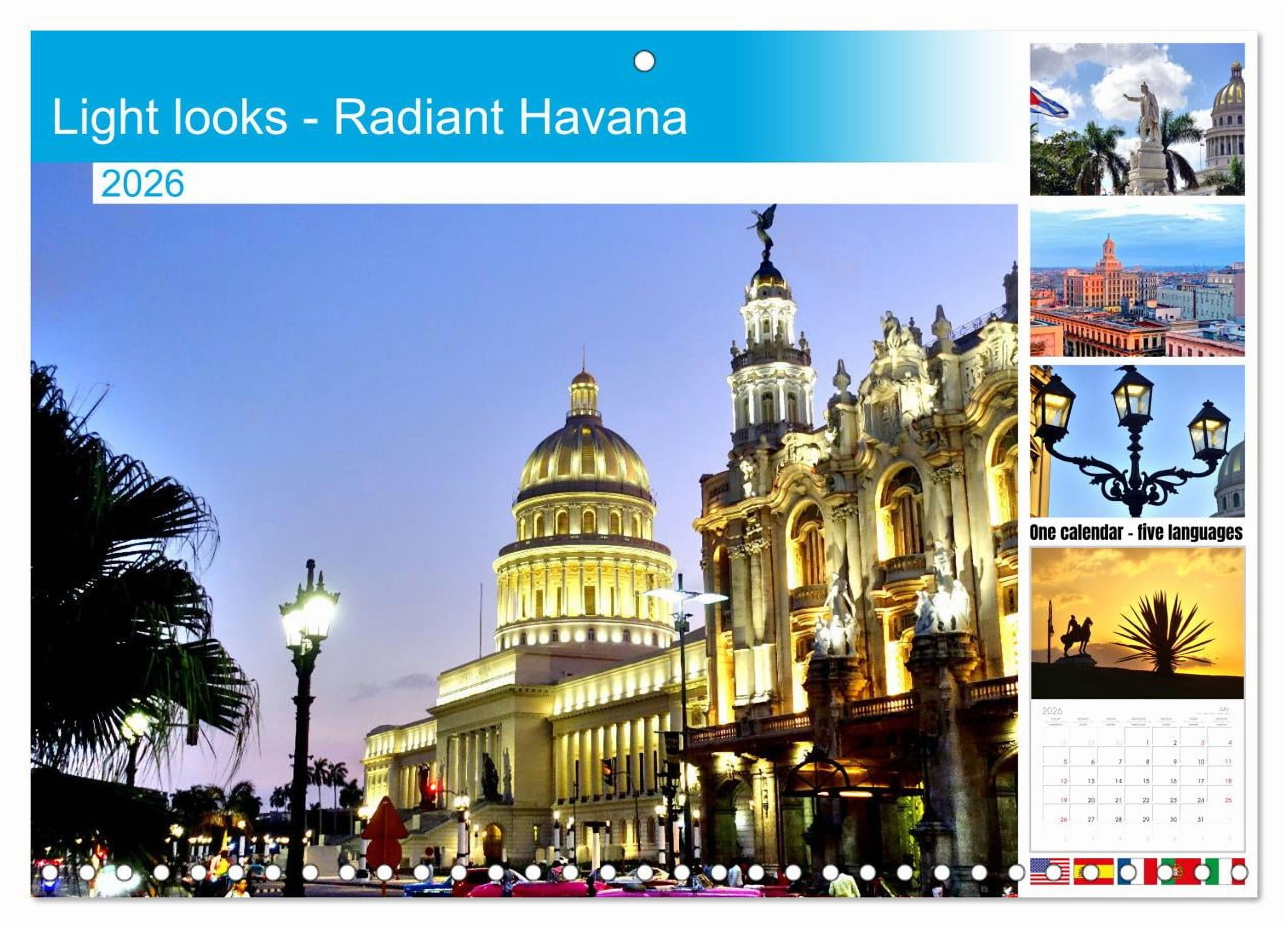 Light looks - Radiant Havana (Monthly Wall Calendar 2026 11.7 x 16.5 ...