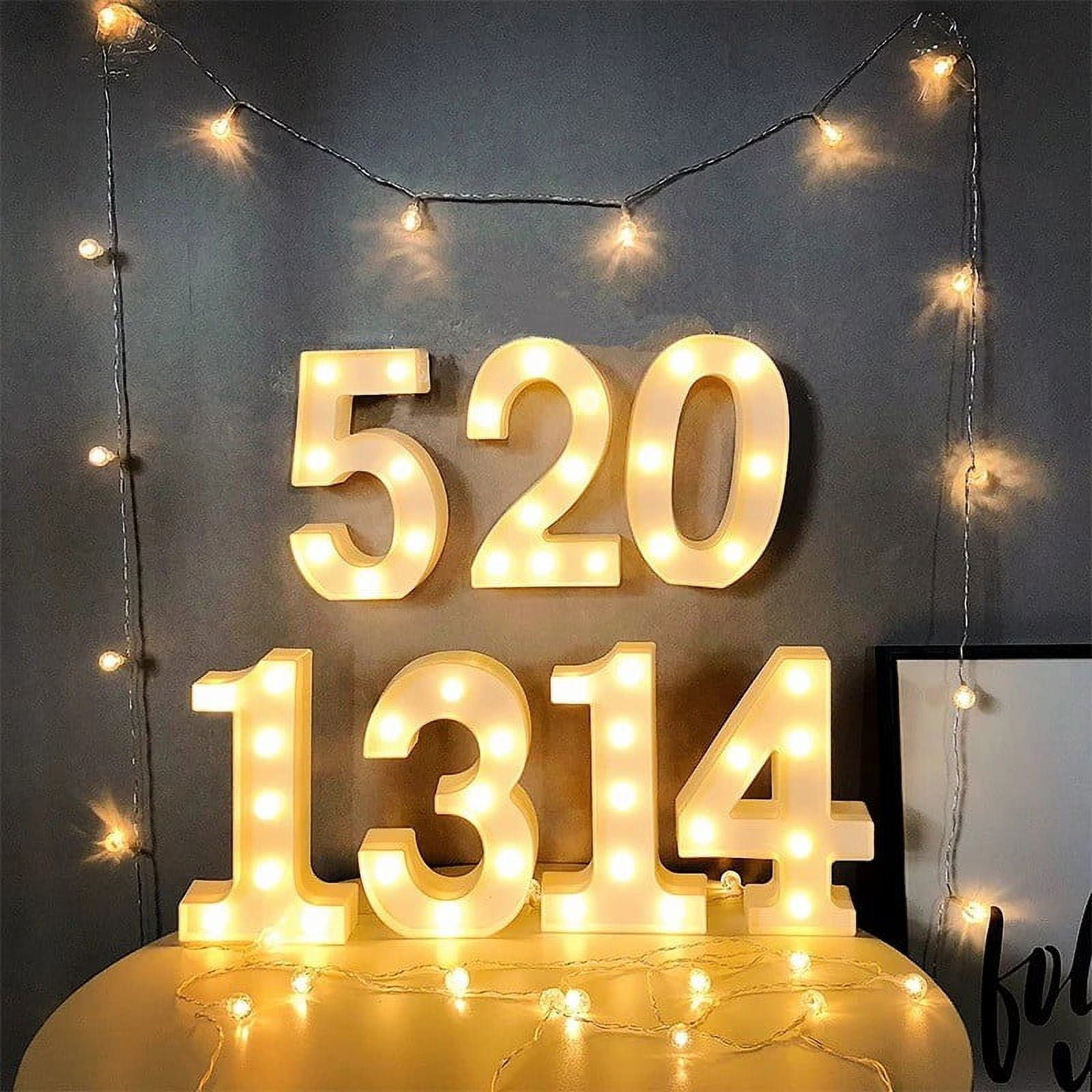 Light up Number Number 1 LED Light Decorative Number LED Light for ...
