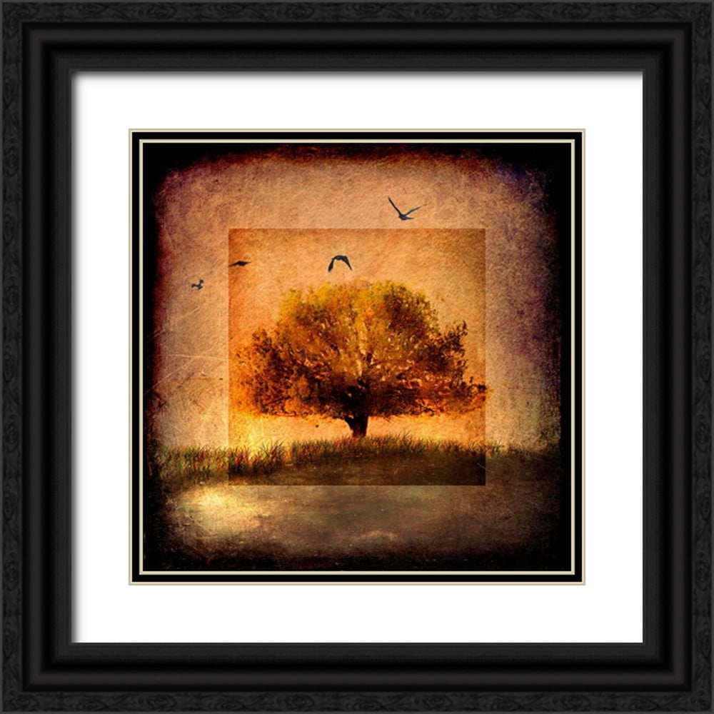 LightBoxJournal 12x12 Black Ornate Wood Framed with Double Matting ...