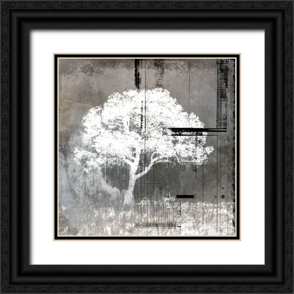 LightBoxJournal 12x12 Black Ornate Wood Framed with Double Matting ...