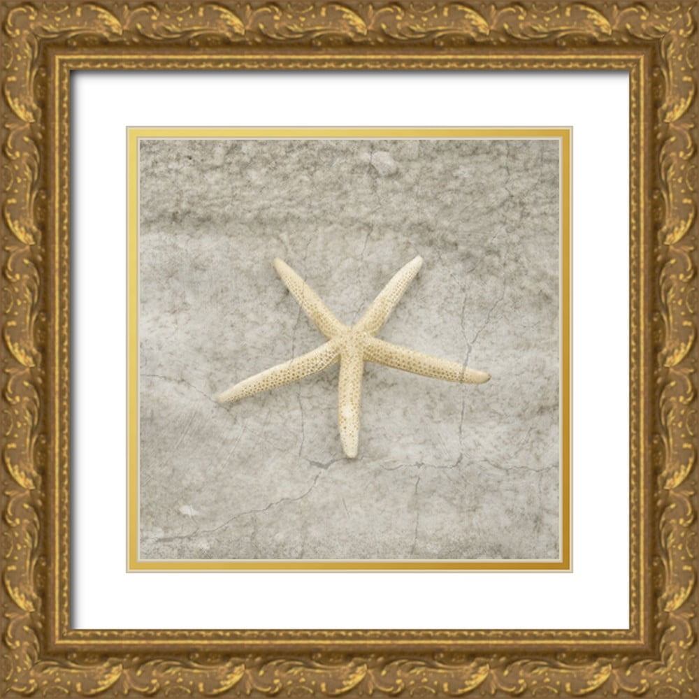 LightBoxJournal 12x12 Gold Ornate Wood Framed with Double Matting ...