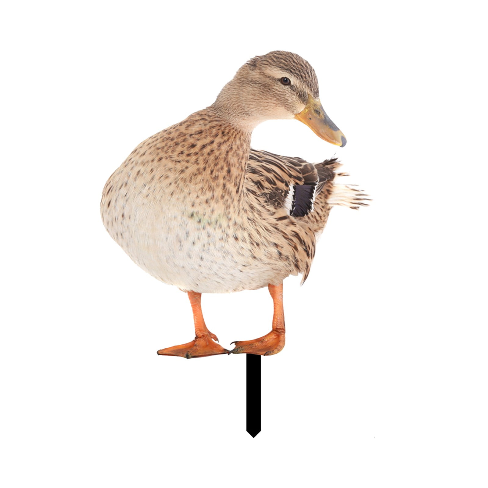 Lighted Address Numbers And Letters Number Solar Sign Outdoor Clocks ...