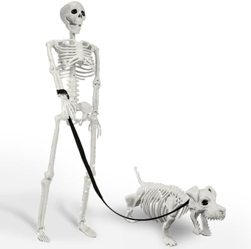 Lighted Human & Dog Skeleton Halloween Decorations Outdoor/Indoor - 36 ...