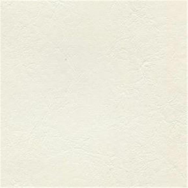 Lighthouse 4922 100 Percent Polyvinyl Chloride Fabric, Snow White ...