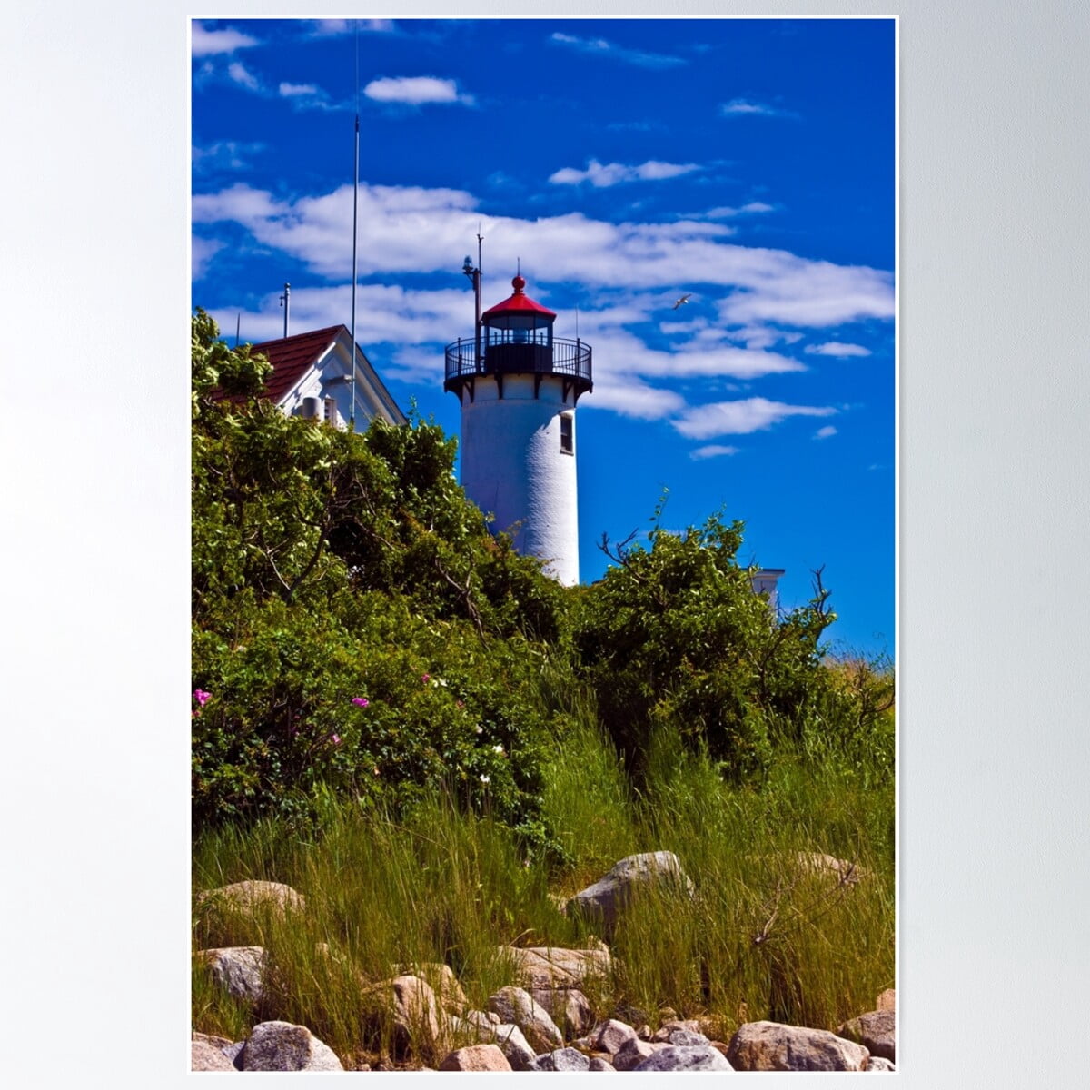 Lighthouse, Gloucester , Ma Poster Wall Art, Modern Wall Decor For ...