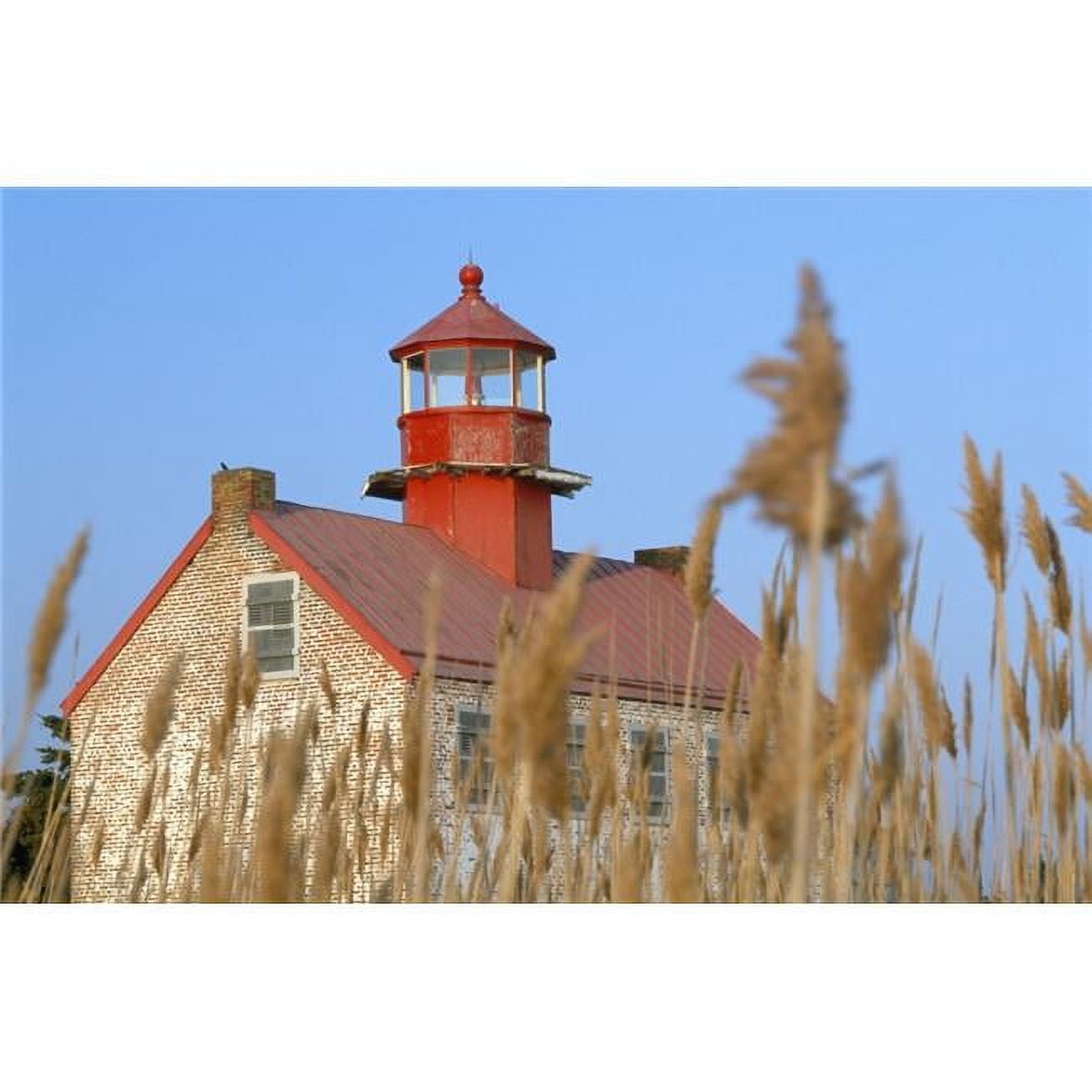 Lighthouse In Wheat Field Poster Print - 38 x 24 - Large - Walmart.com