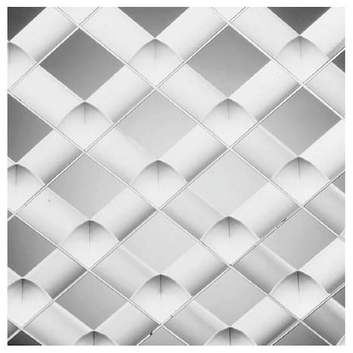 Lighting Plastics 02224 - 2X2 Flat Panel Parabolic Lens (PARABOLIC LENS ...