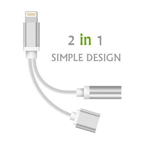 Old Iphone New Adapter