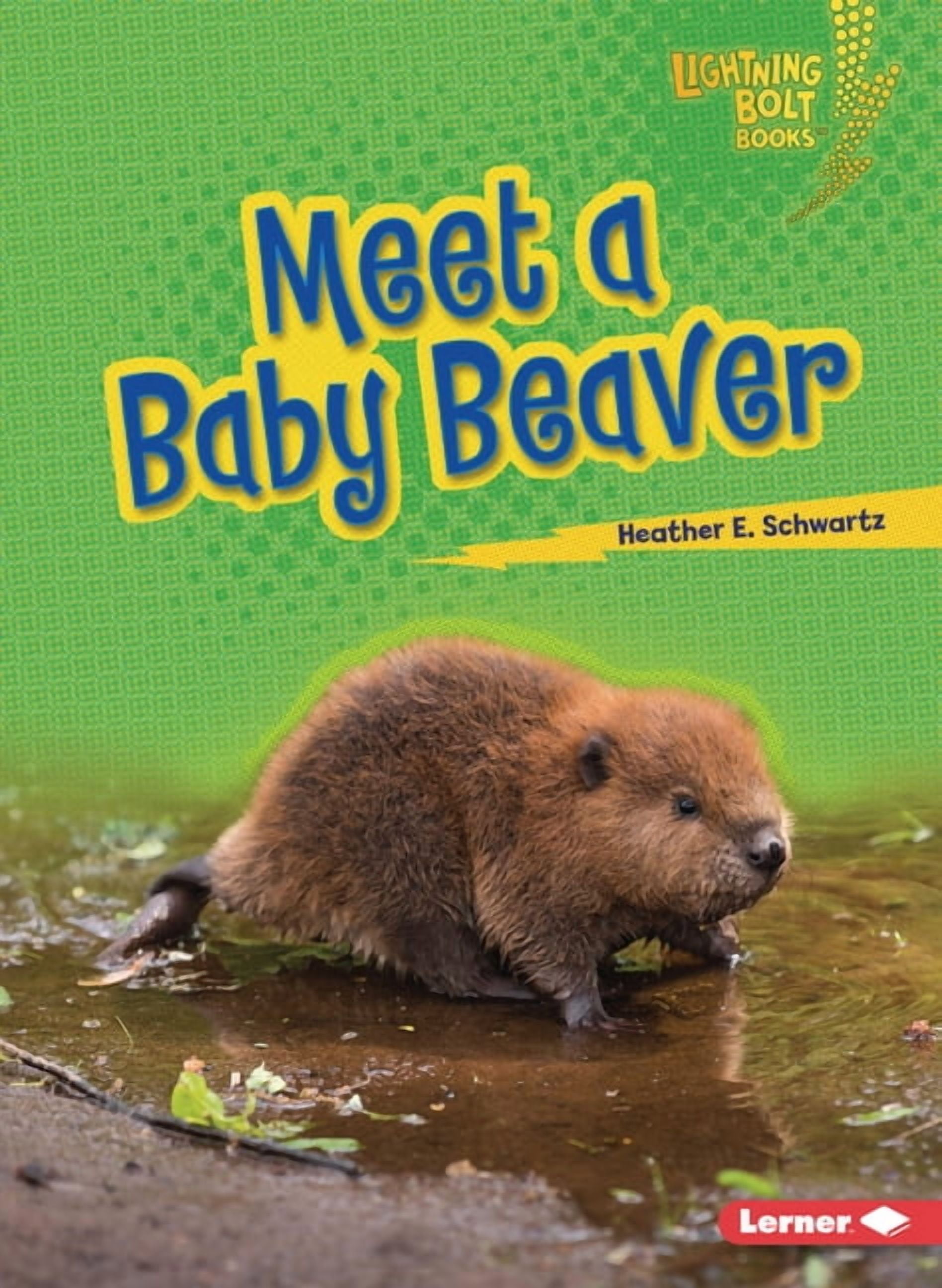 Lightning Bolt Books (R) -- Baby North A Meet a Baby Beaver, (Paperback ...