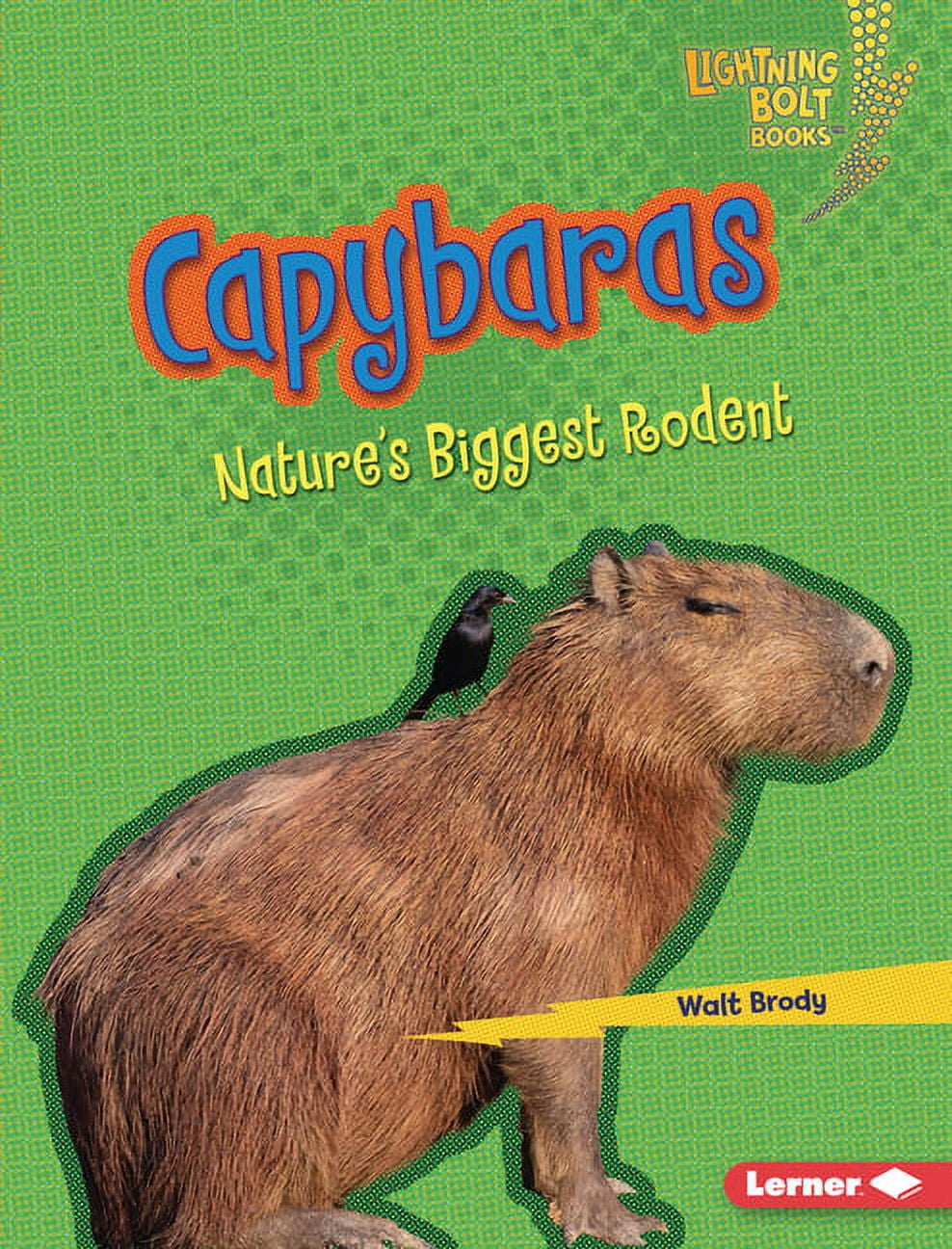 Lightning Bolt Books (R) -- Nature's Most Massive Animals: Capybaras ...