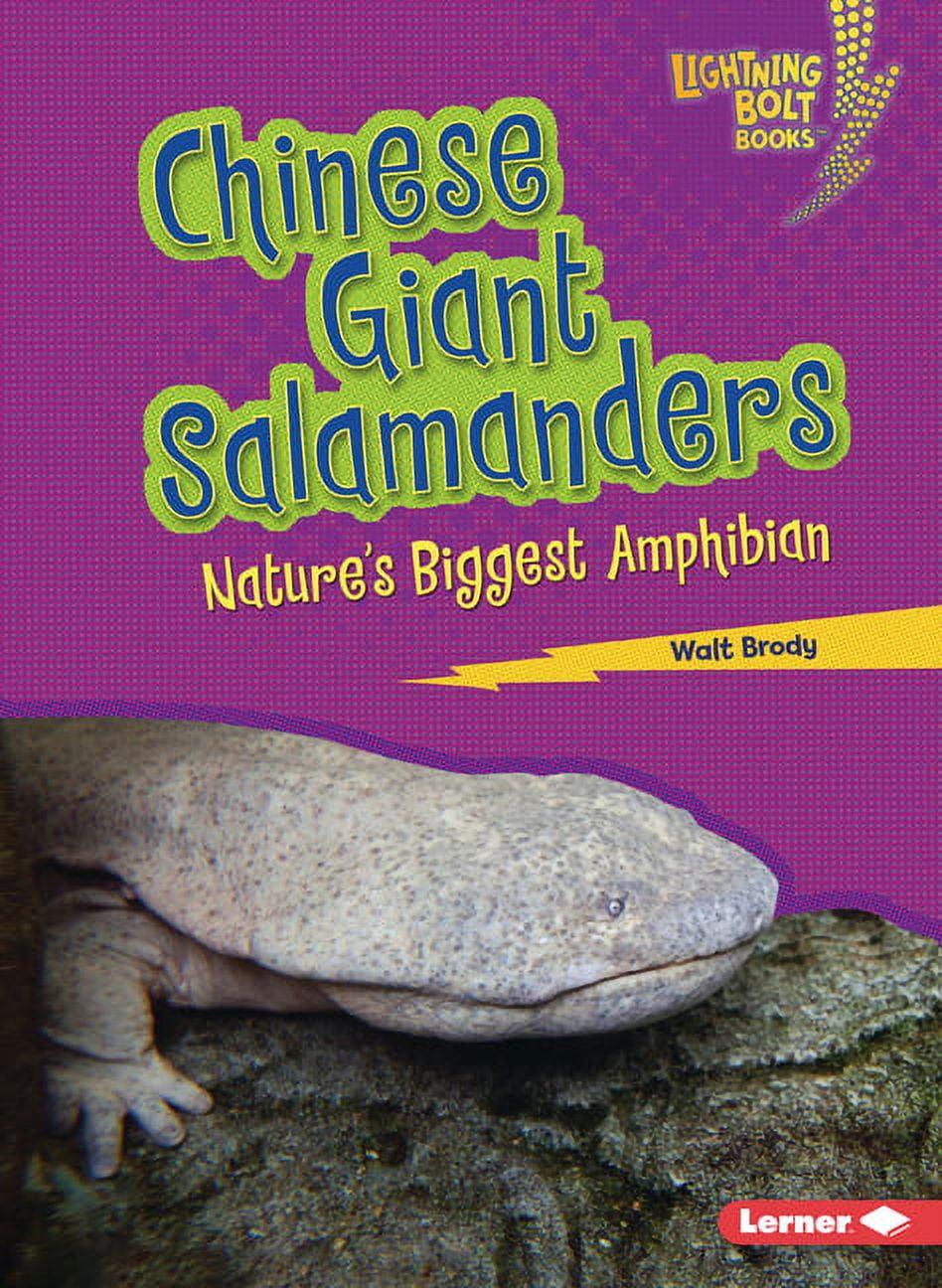 Lightning Bolt Books (R) -- Nature' Chinese Giant Salamanders: Nature's ...