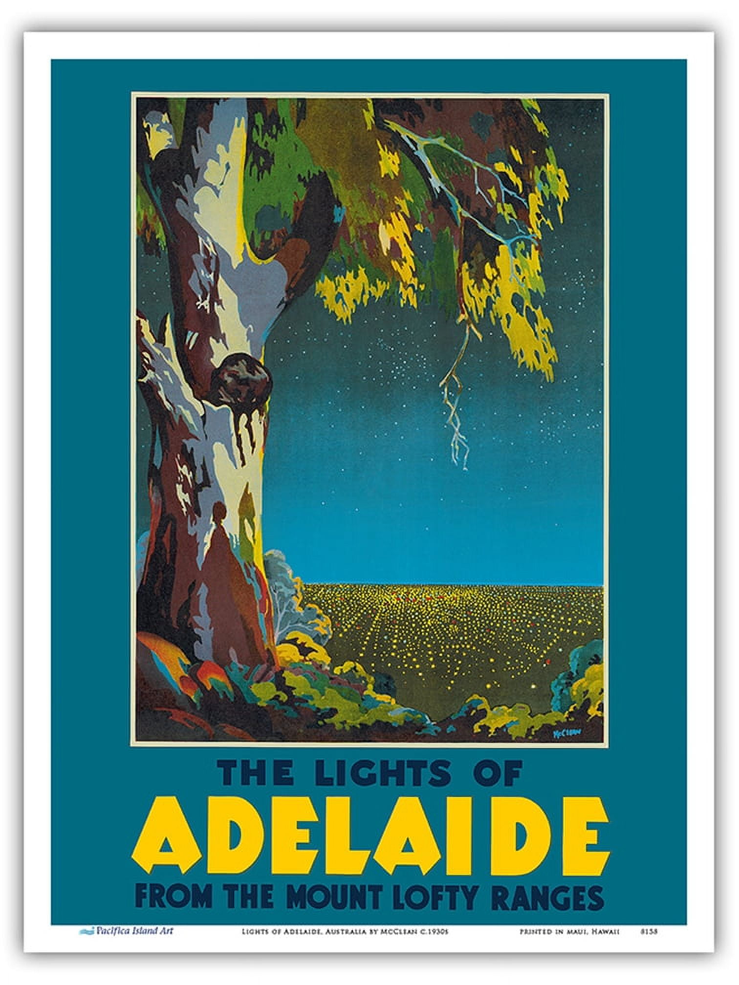 Lights of Adelaide Australia - Eucalyptus Tree - From the Mount Lofty ...