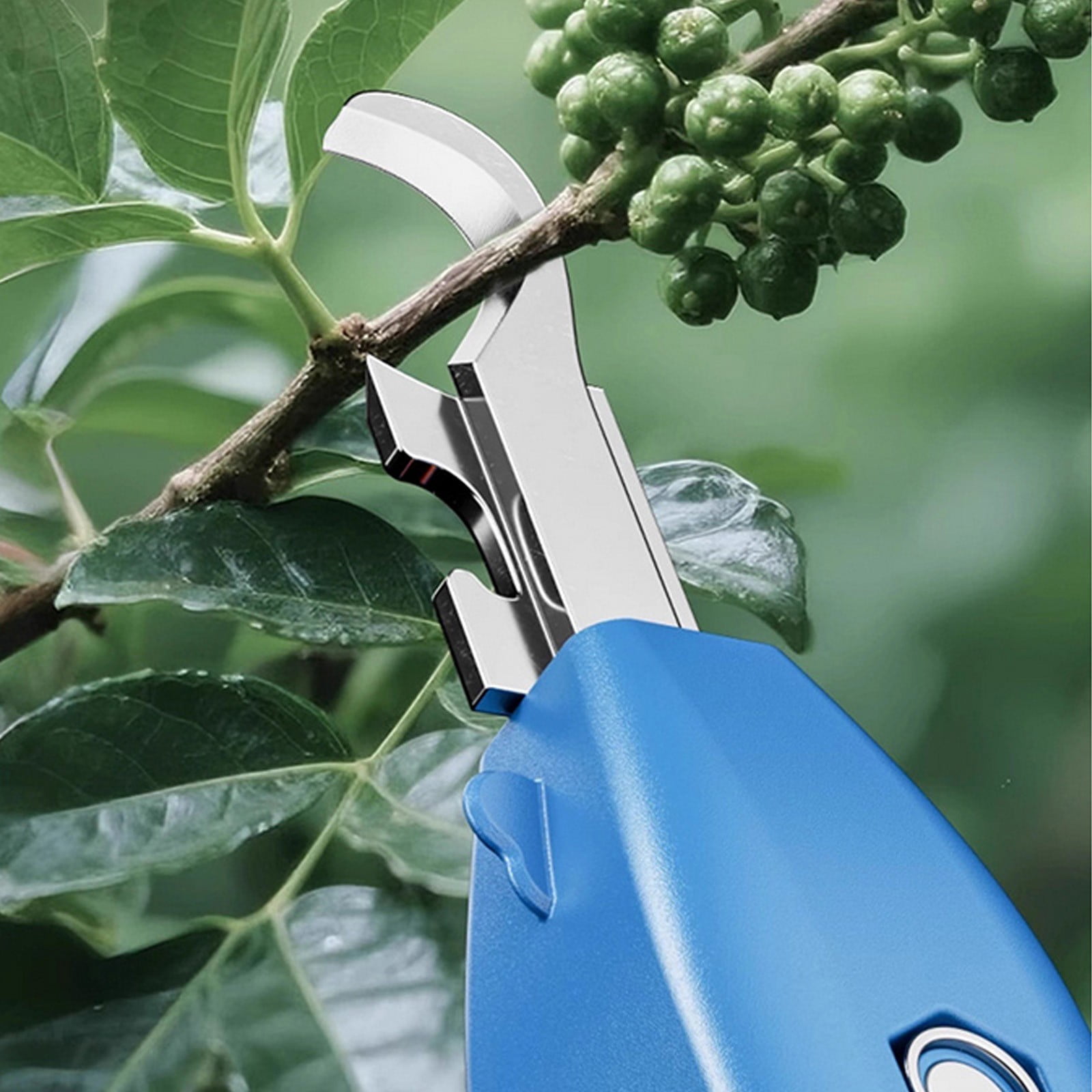 Lightweight Garden Clippers for Fine Trimming & Harvesting, Curved ...