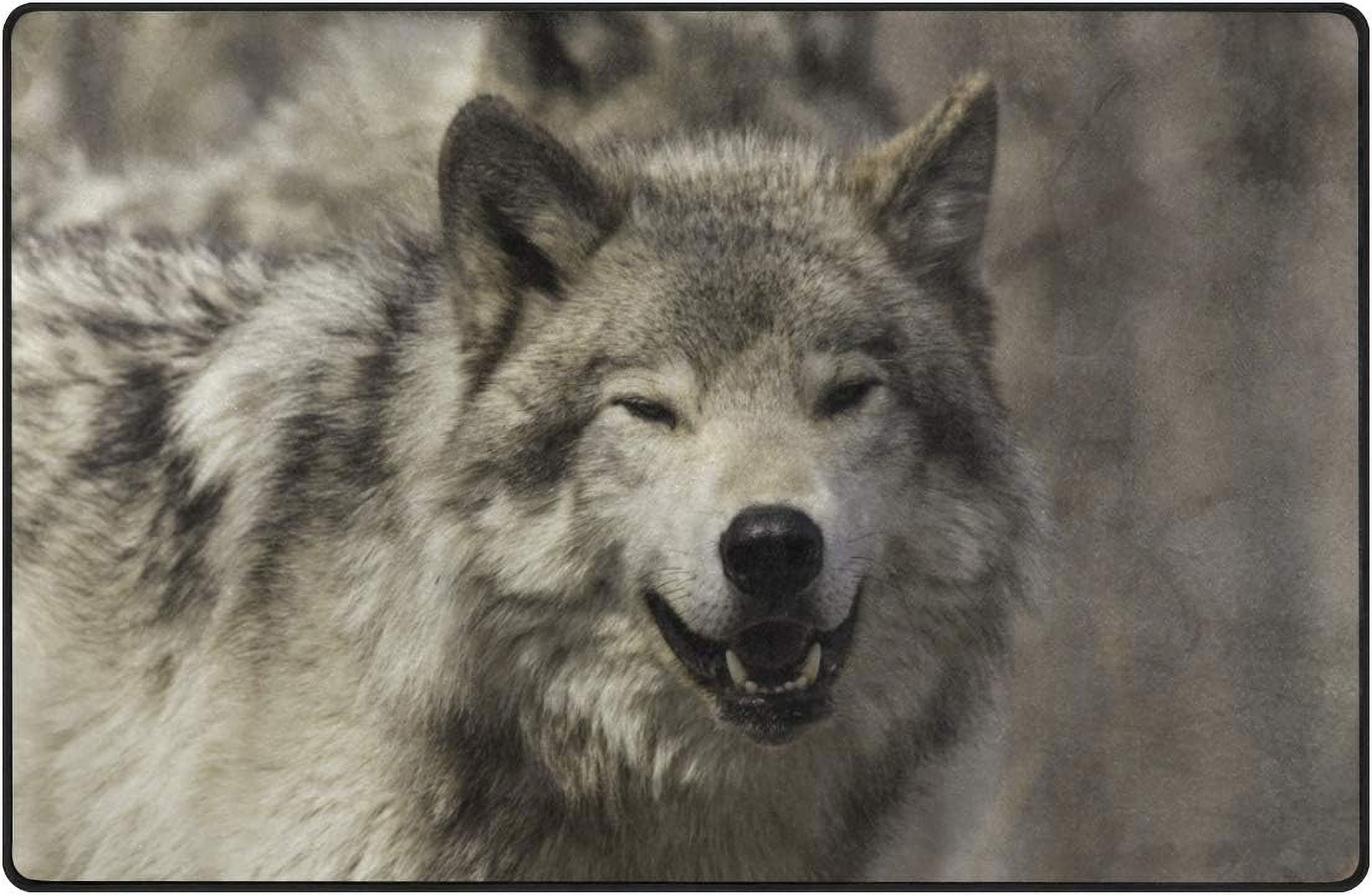 Lightweight Soft Area Rugs 31x20 Inch, Smiling Wolf Floor Mat Doormat ...